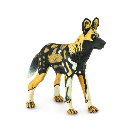 Safari Ltd. : SFR239729* โมเดลสัตว์ African Wild Dog
