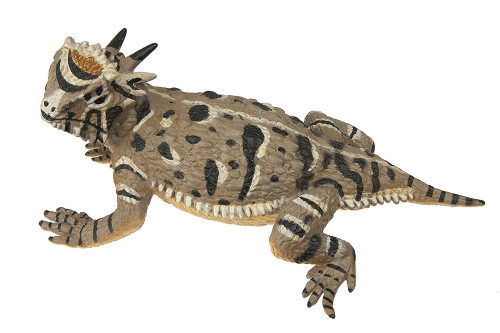 Safari Ltd. : SFR156605* โมเดลสัตว์ Horned Lizard