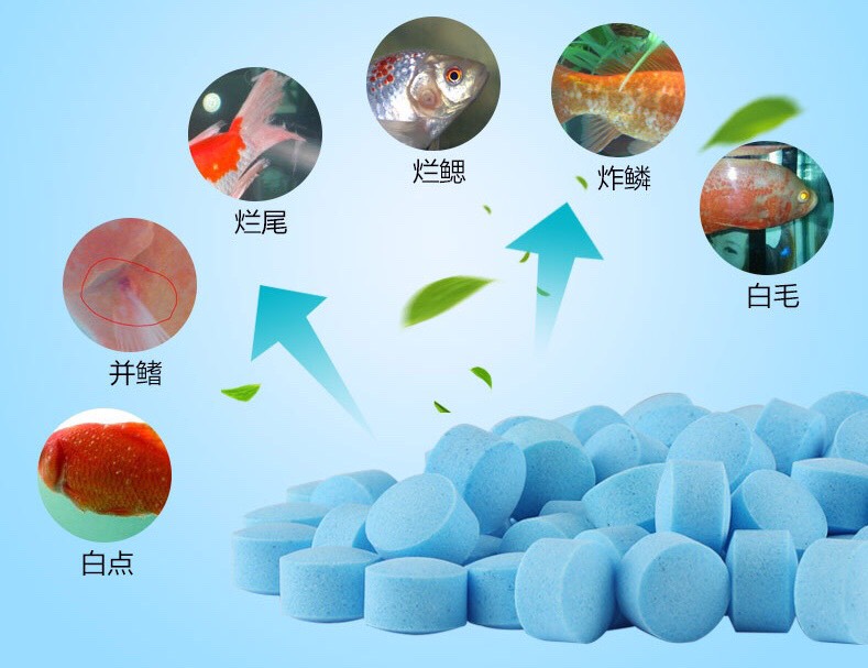 SUNSUN Blue Powder Salt เกลือเม็ดบริสุทธิ์สีฟ้า ไม่มีไอโอดีน ช่วย ...