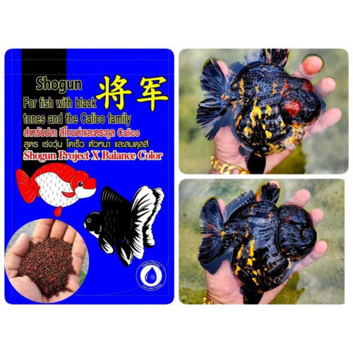 อาหารปลา โชกุน ซองสีน้ำเงิน สูตรเร่งสีดำ Shogun Project X Balance Color
