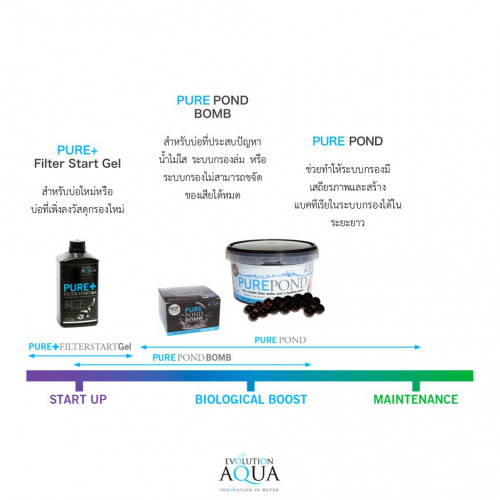 Evolution Aqua Pure Pond Bomb แบคทีเรียแบบมีชีวิต ชนิดเข้มข้นพิเศษ ...