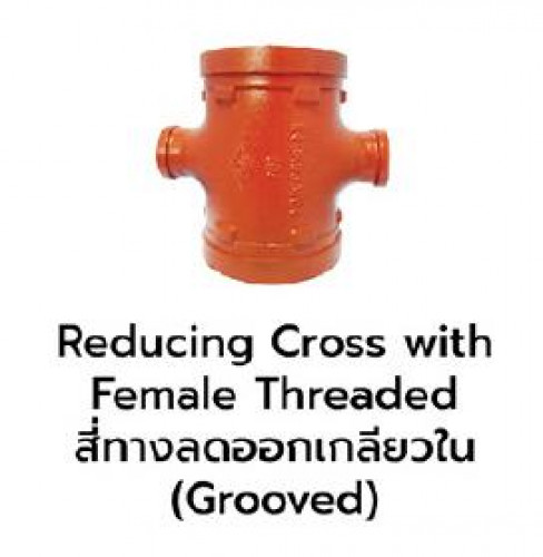 MECH model.181R Reducing Cross with Female Thread สี่ทางลดออกเกลียวใน ...