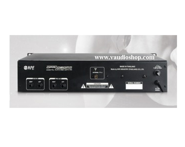 เครื่องเล่นและบันทึกเสียงแบบดิจิตอล NPE DPR-020FM