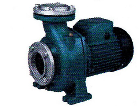 ปั๊มน้ำหอยโข่งแบบหน้าแปลน โปโล POLO รุ่น NFM-130A