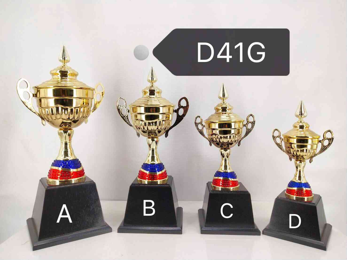d41g
